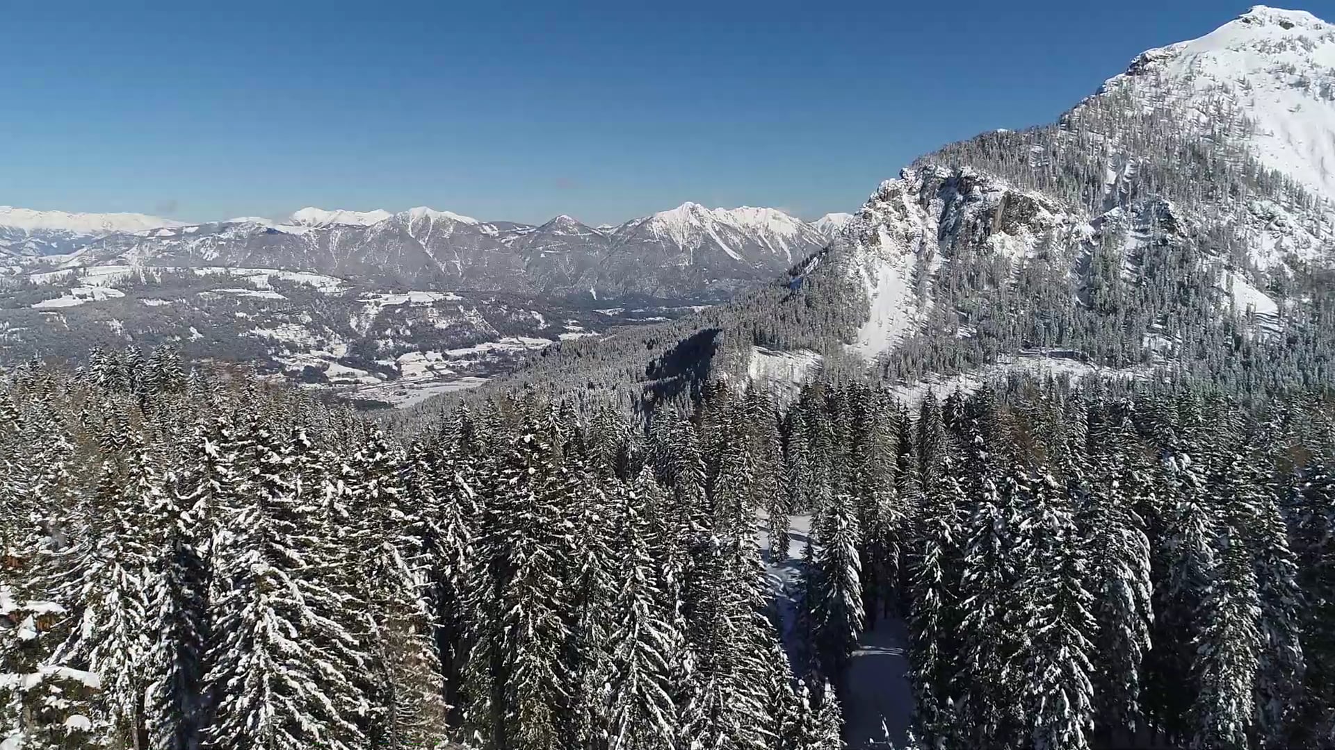 Interview mit Peter Gratzer – Bärenhütte | Weitblick TV